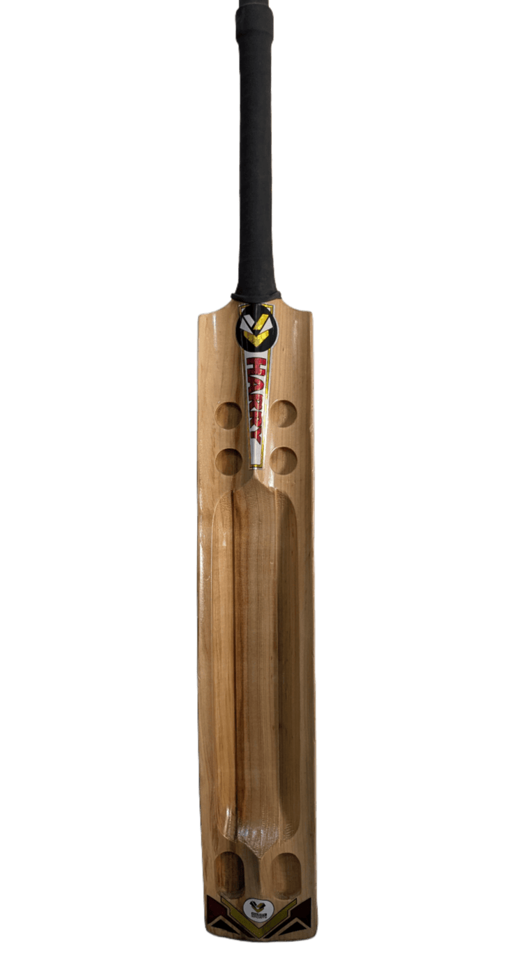 The Game Changer Bat For Hard Tennis @ HARRY-SPORTS