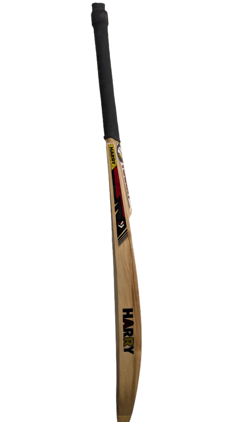 The Game Changer Bat For Hard Tennis @ HARRY-SPORTS