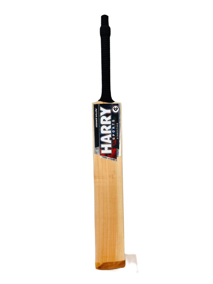 The Game Changer Bat For Hard Tennis @ HARRY-SPORTS